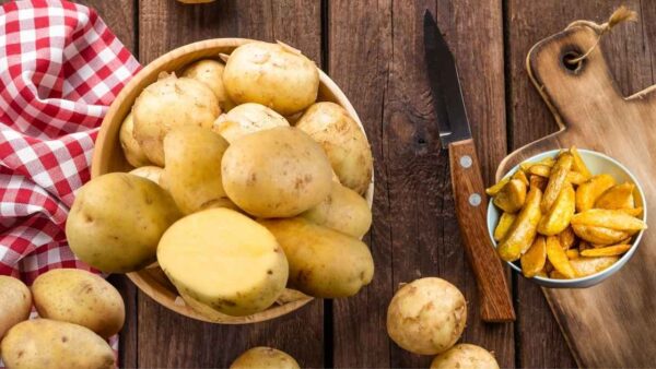 Mengenal Kentang Lebih Dekat - Arenga Indonesia