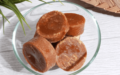 Gula Melaka - Gula Merah Versi Malaysia - Arenga Indonesia