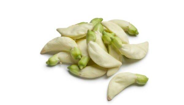 Edible Flowers - Bunga-Bunga Yang Bisa Dimakan di Indonesia - Arenga ...