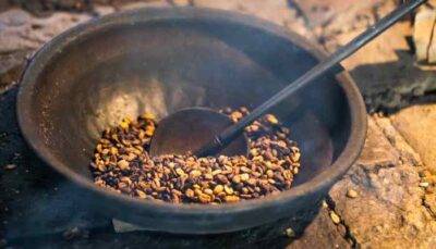 Perkembangan Industri Kopi di Indonesia - Arenga Indonesia