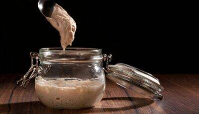 Cara Membuat Ragi Alami Dari Buah atau Sayuran - Arenga Indonesia