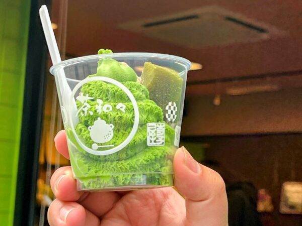 Manfaat Matcha Green Tea dan Apa Beda Keduanya? - Arenga Indonesia