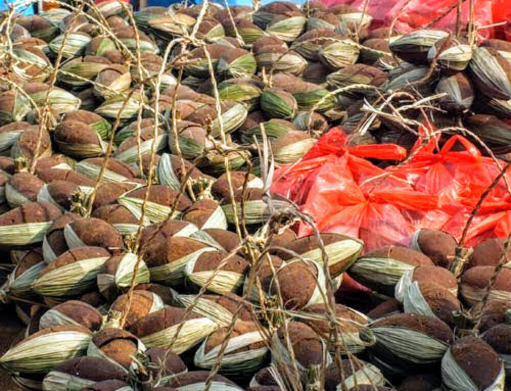 Sejarah Gula Aren: Kekayaan Tradisi Kuliner di Asia Tenggara